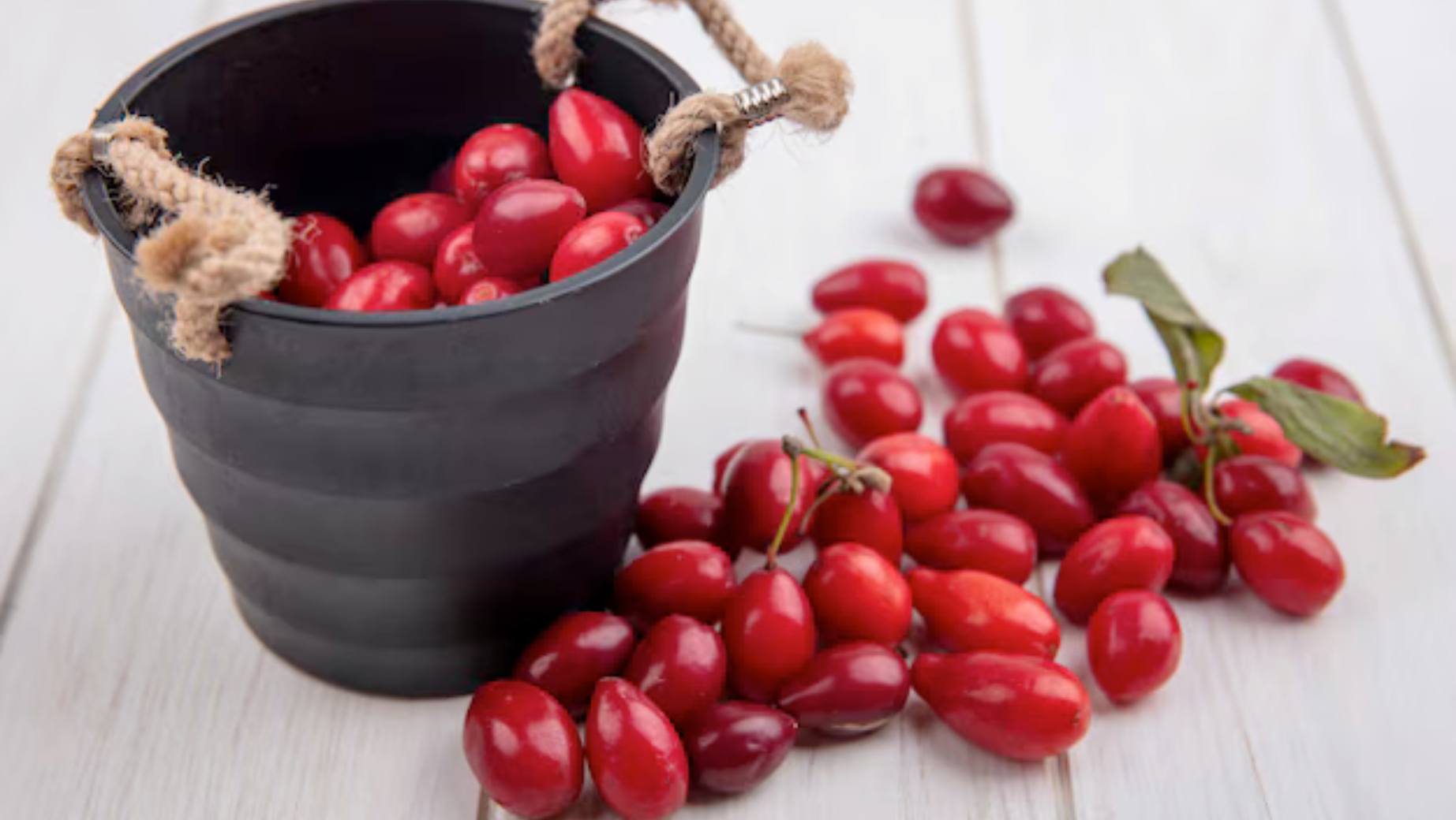 Co to je Berberin a jaké jsou jeho účinky na organismus? - Michato.cz