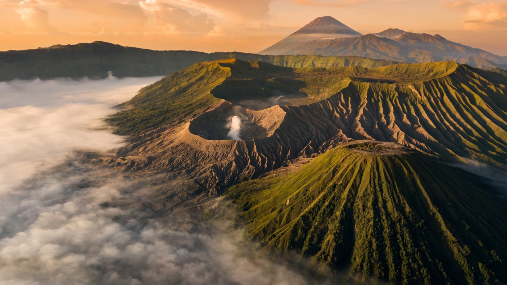 Kde se pěstuje kratom? - Michato.cz