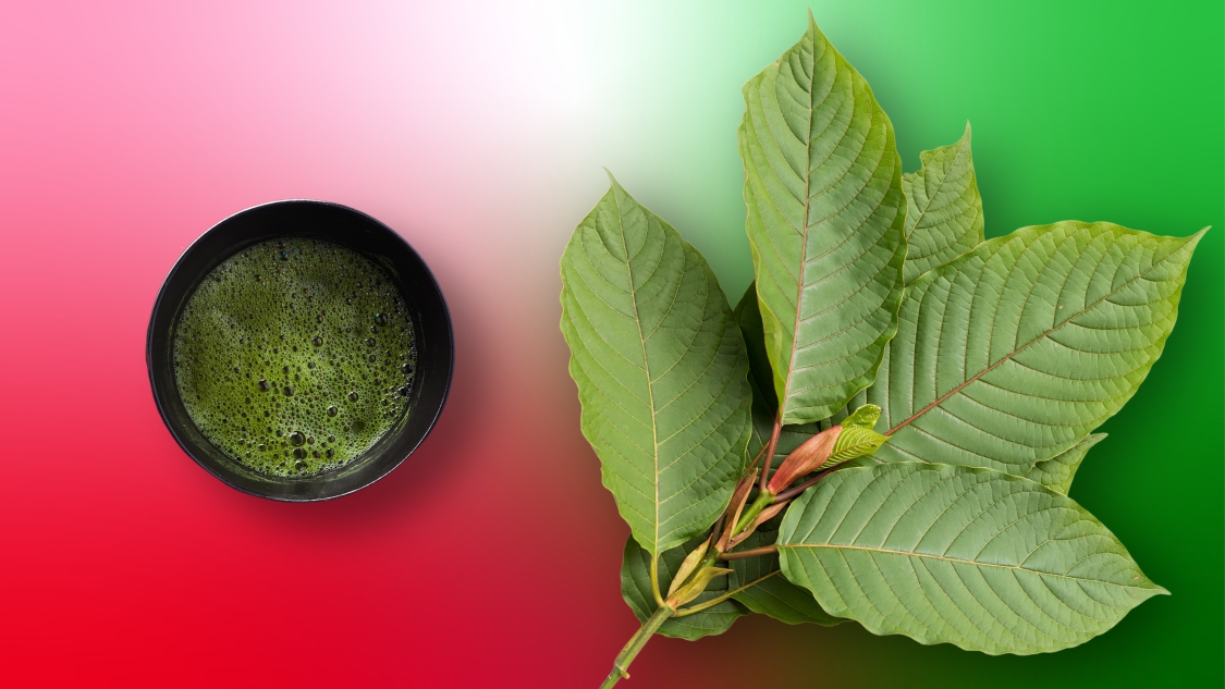 Jak vybrat kratom, který je pro vás ten pravý? - Michato.cz