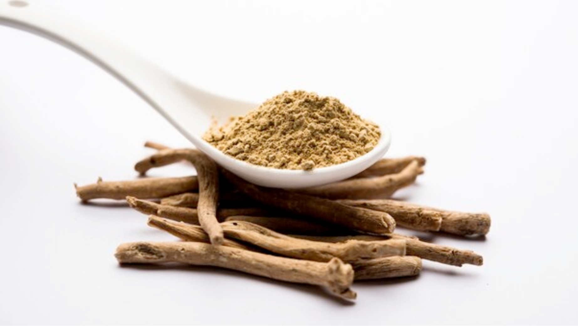 Tongkat Ali: přírodní posílení testosteronu - Michato.cz