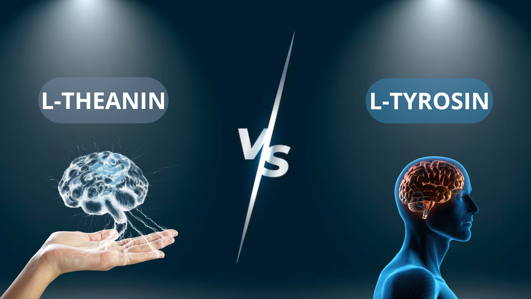 Rozdíl mezi L-Theanin a L-Tyrosin: Co byste měli vědět? - Michato.cz
